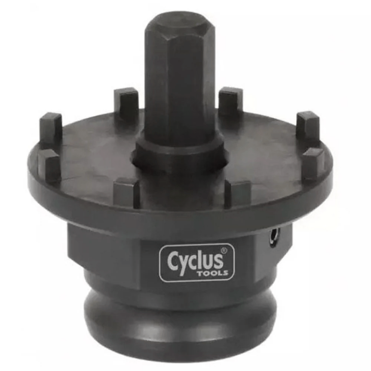 Buy Cyclus Tools Snap.In Lockring Rmvl Tool |The Bike Affair