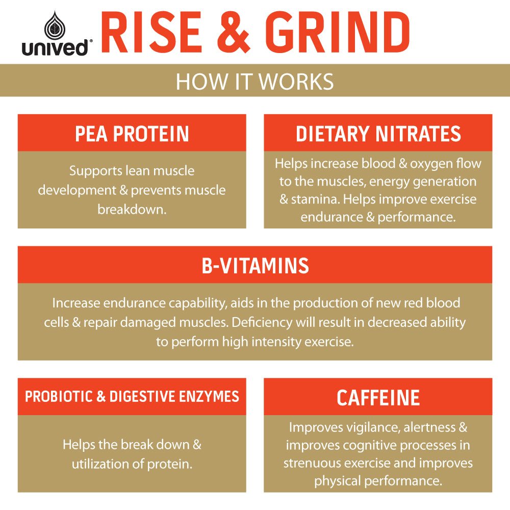 Buy Unived Rise & Grind Protein - 30 Servings Online – The Bike Affair