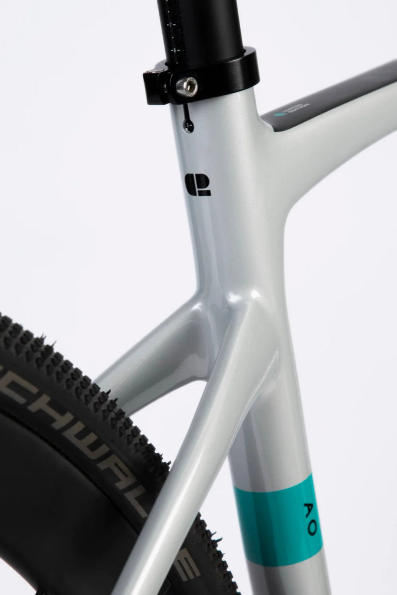 Buy Chapter 2 AO Disc Brake Frameset Online |The Bike Affair